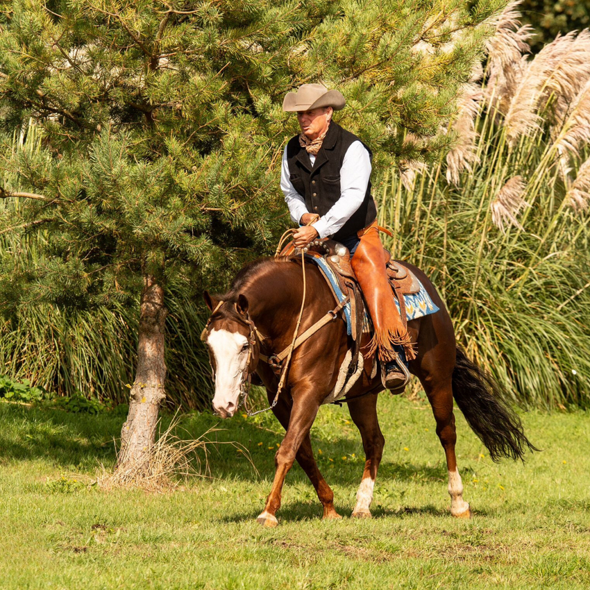Sovereign Quarter Horses - Western Riding & Experience Days