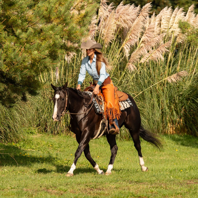Sovereign Quarter Horses - Western Riding & Experience Days